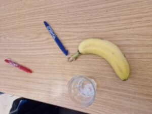 SVT en classe de Seconde : L'extraction de l'ADN de banane - Une ...